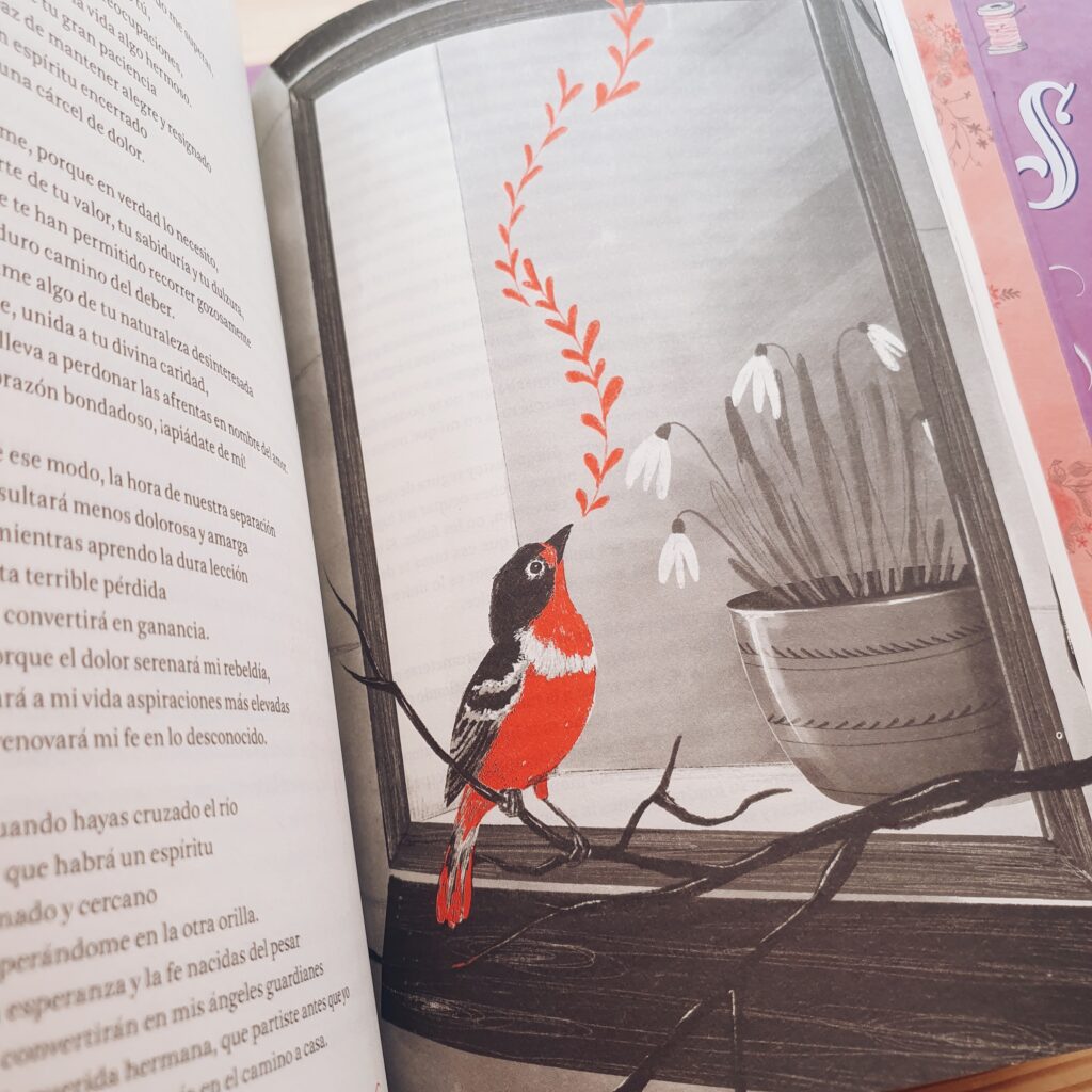 Mujercitas Libro Ilustrado Vaidhé Shop Tienda Online