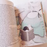 Heidi , libro ilustrado / Vaidhé Shop - Tienda Online