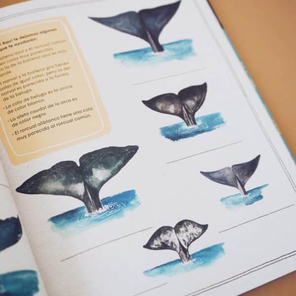 Libro de actividades para amantes de las ballenas / Vaidhé Shop